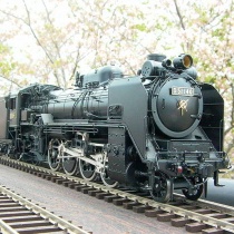 D51 140 NSL : 雷比須鉄道工作日誌 OJゲージ