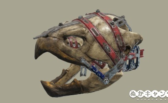 ぬかキャン：Fallout 76 サバイバルガイド