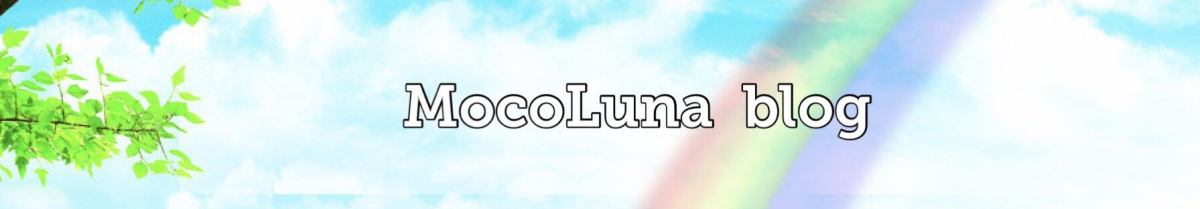 ビジネス : MocoLuna blog