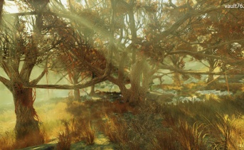 ぬかキャン：Fallout 76 サバイバルガイド