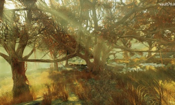 ぬかキャン：Fallout 76 サバイバルガイド