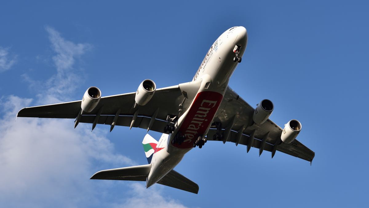 20220827(1811-261) 城南島南風 板チョコベアドゥ・A359・B787・ホンダジェット : 旅客機と周辺生物の写真